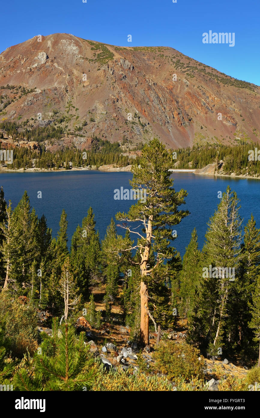 Tioga pass resort hi-res stock photography and images - Alamy