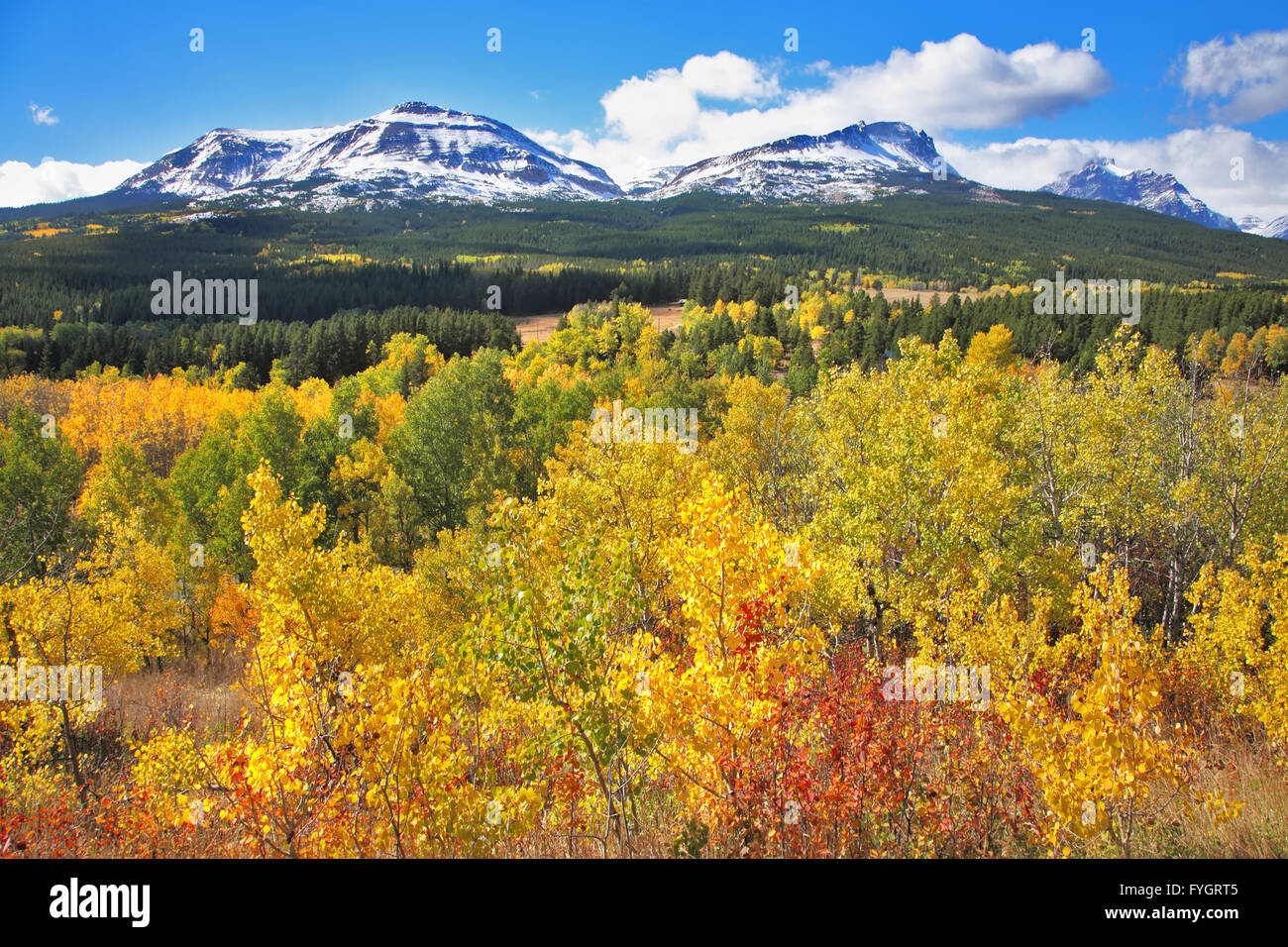 Mellow autumn. The trees with yellow and red foliage Stock Photo - Alamy