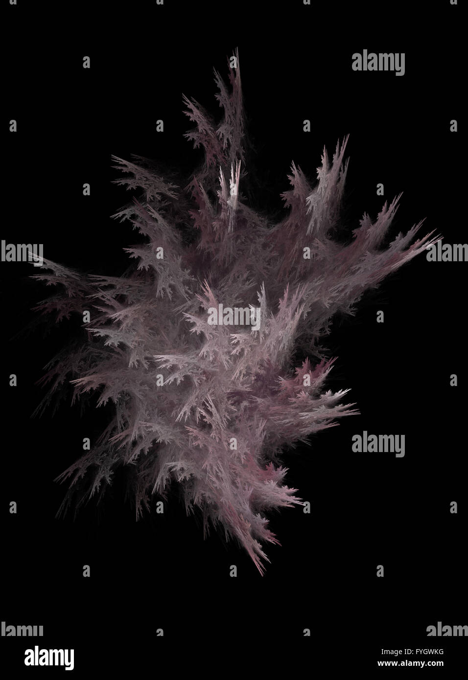 Organic patterns hi-res stock photography and images - Alamy