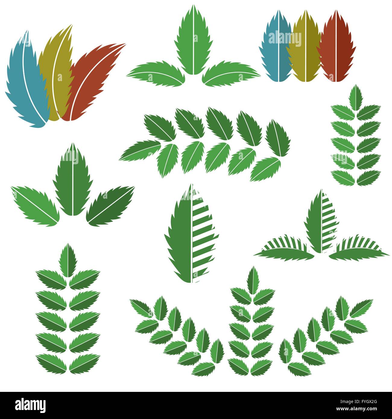 Vector Set of Green Leaves Stock Vector Image & Art - Alamy