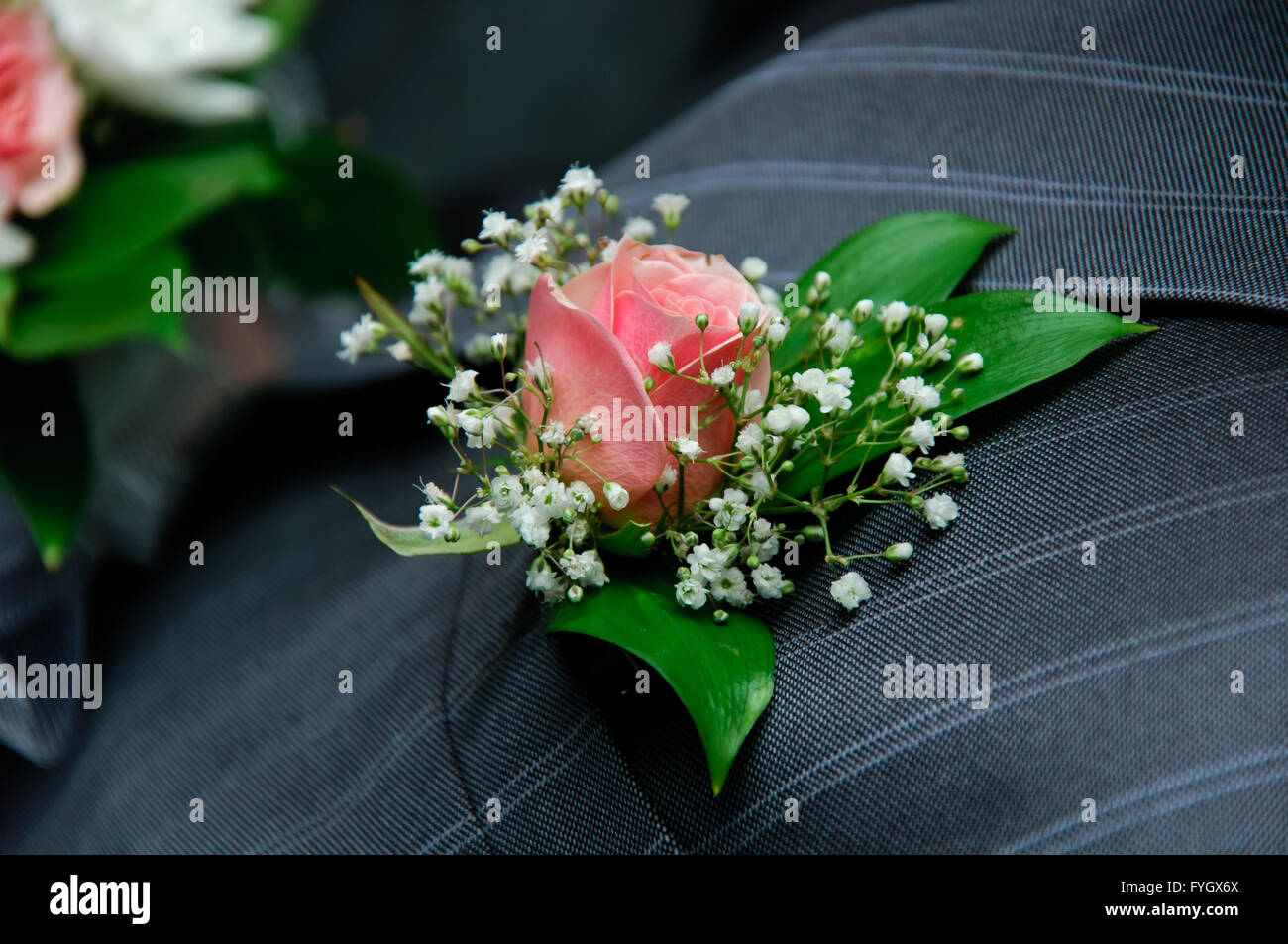 Rose coat hi-res stock photography and images - Alamy