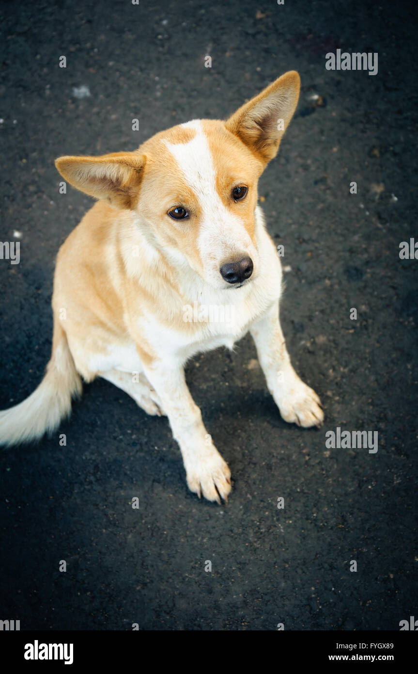 Little blur background hi-res stock photography and images - Alamy