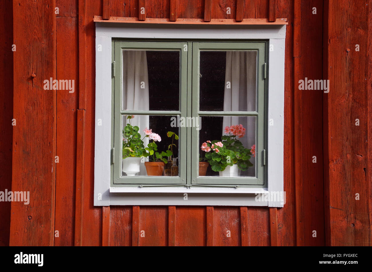 Square window with flowers on the sill in Gamla Linköping, Sweden Stock ...