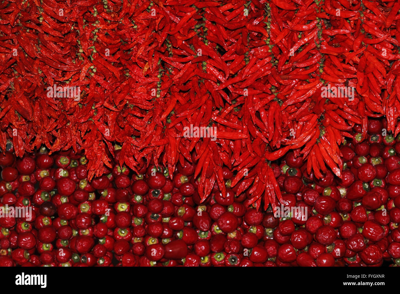 Red pods of hot pepper and exotic Passion Fruit Stock Photo - Alamy