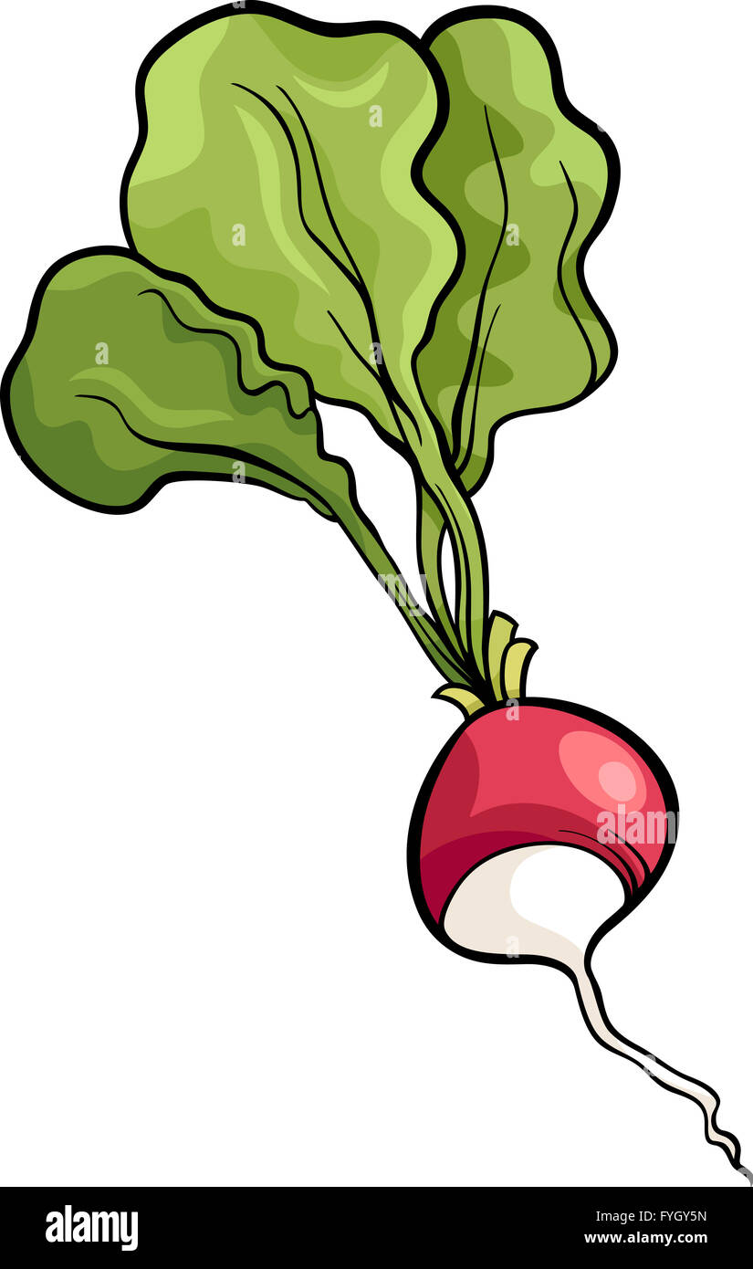 radish vegetable cartoon illustration Stock Photo - Alamy