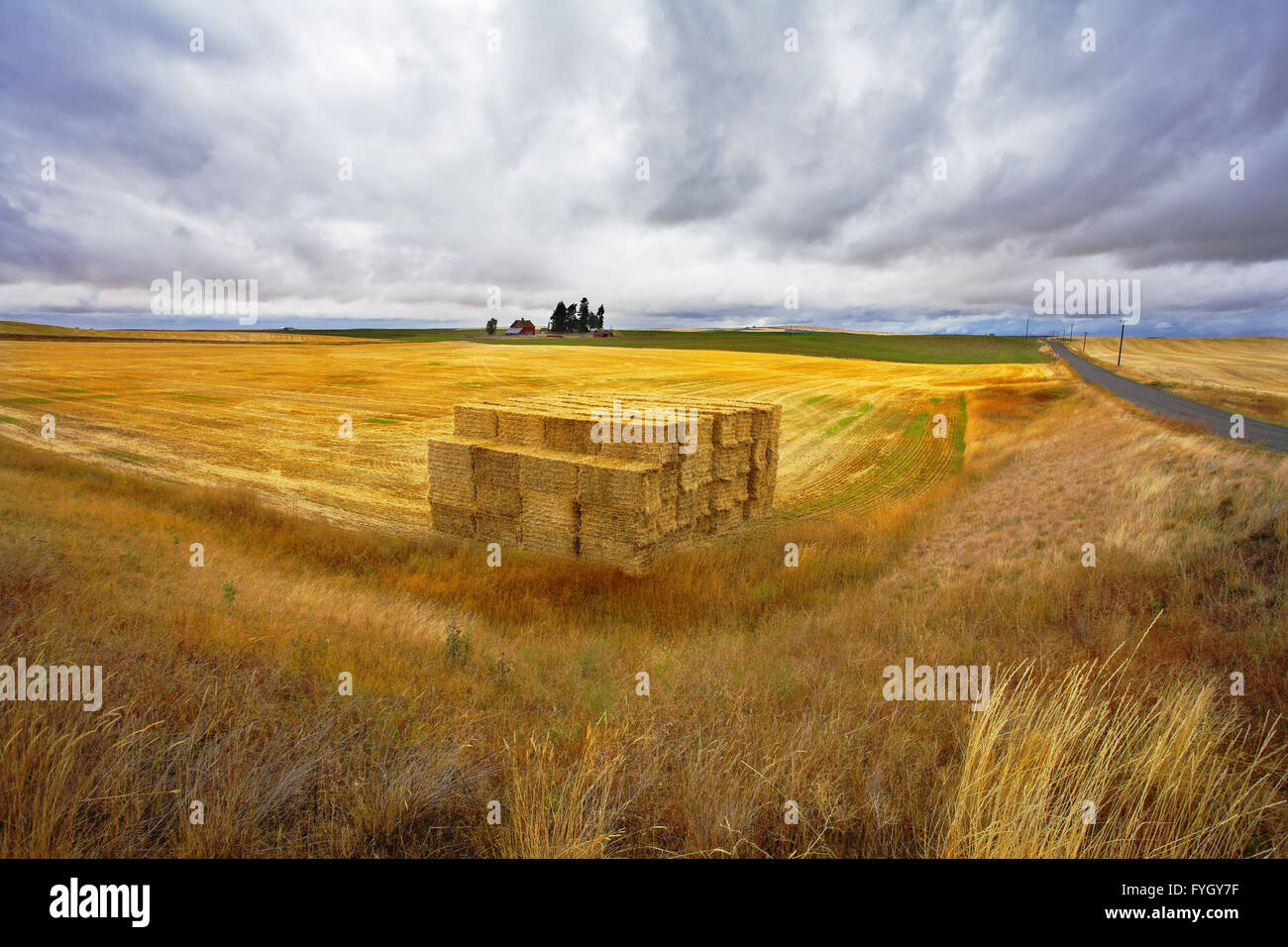 The big haystack on an autumn floor after harvesting Stock Photo - Alamy