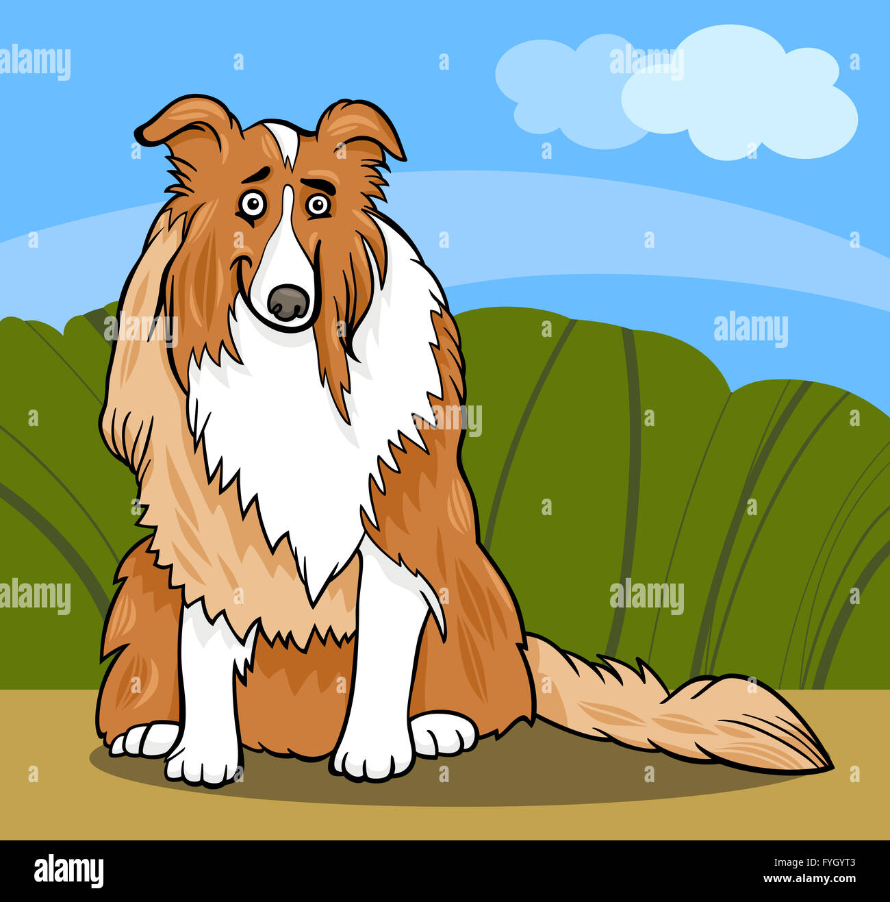 collie purebred dog cartoon illustration Stock Photo - Alamy
