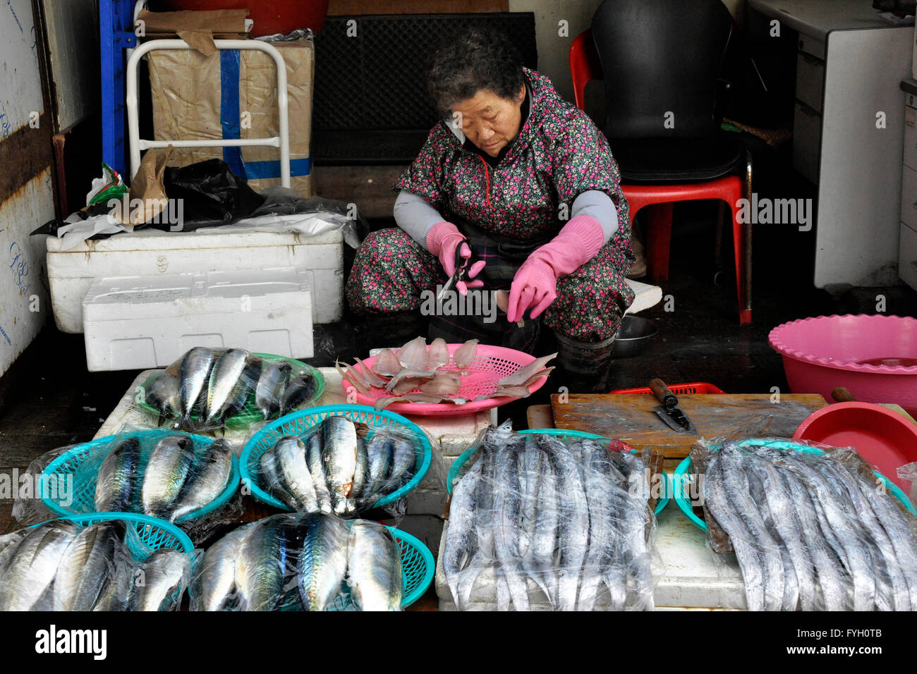 South Korea, Busan, fish market Stock Photo - Alamy
