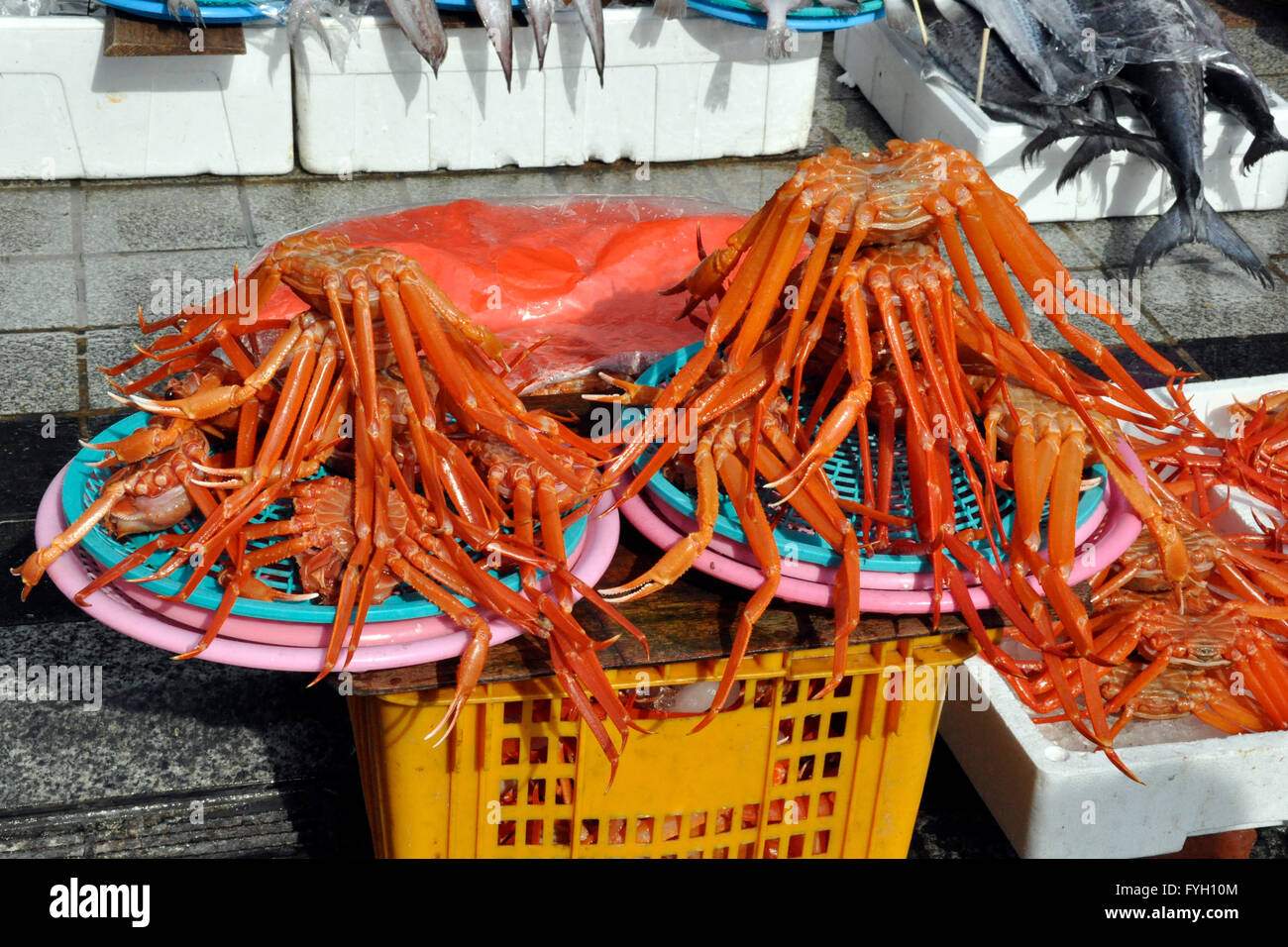 South Korea, Busan, fish market Stock Photo - Alamy