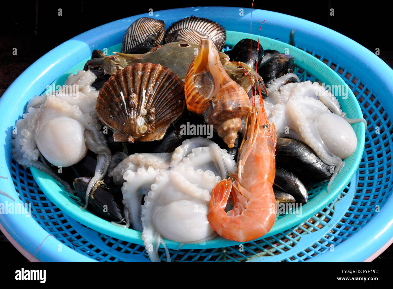 South Korea, Busan, fish market Stock Photo - Alamy