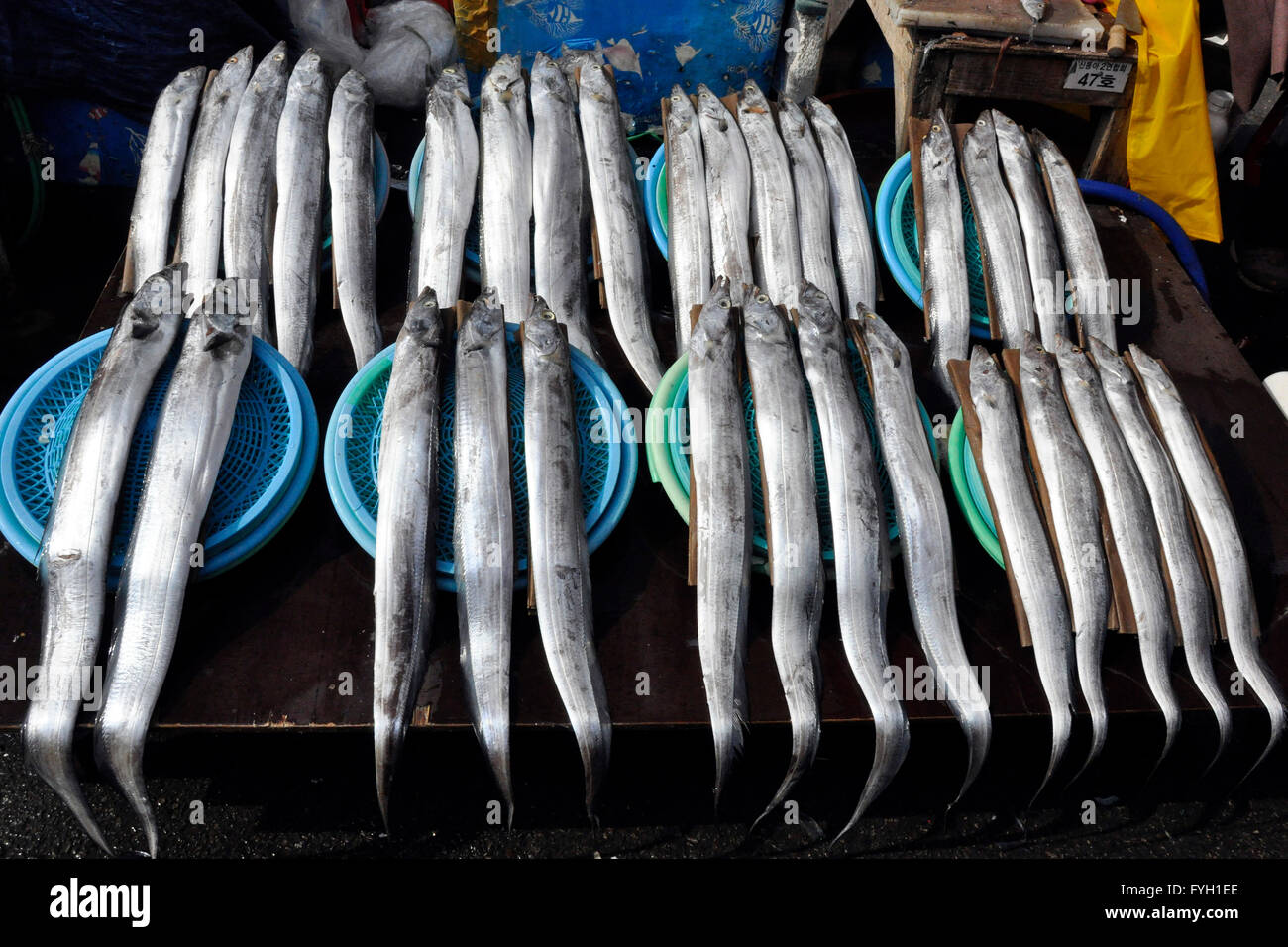 South Korea, Busan, fish market Stock Photo - Alamy