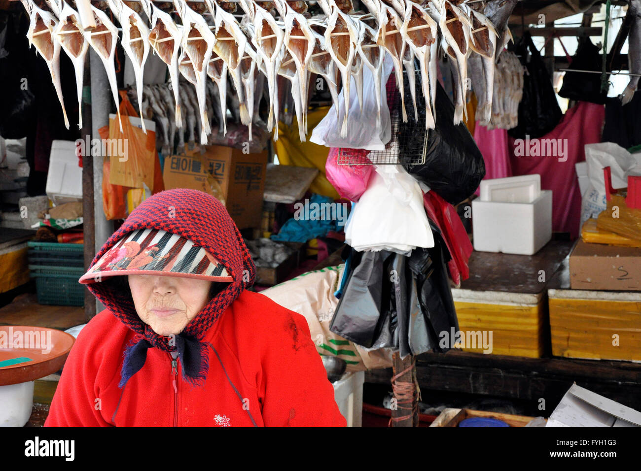 South Korea, Busan, fish market Stock Photo - Alamy