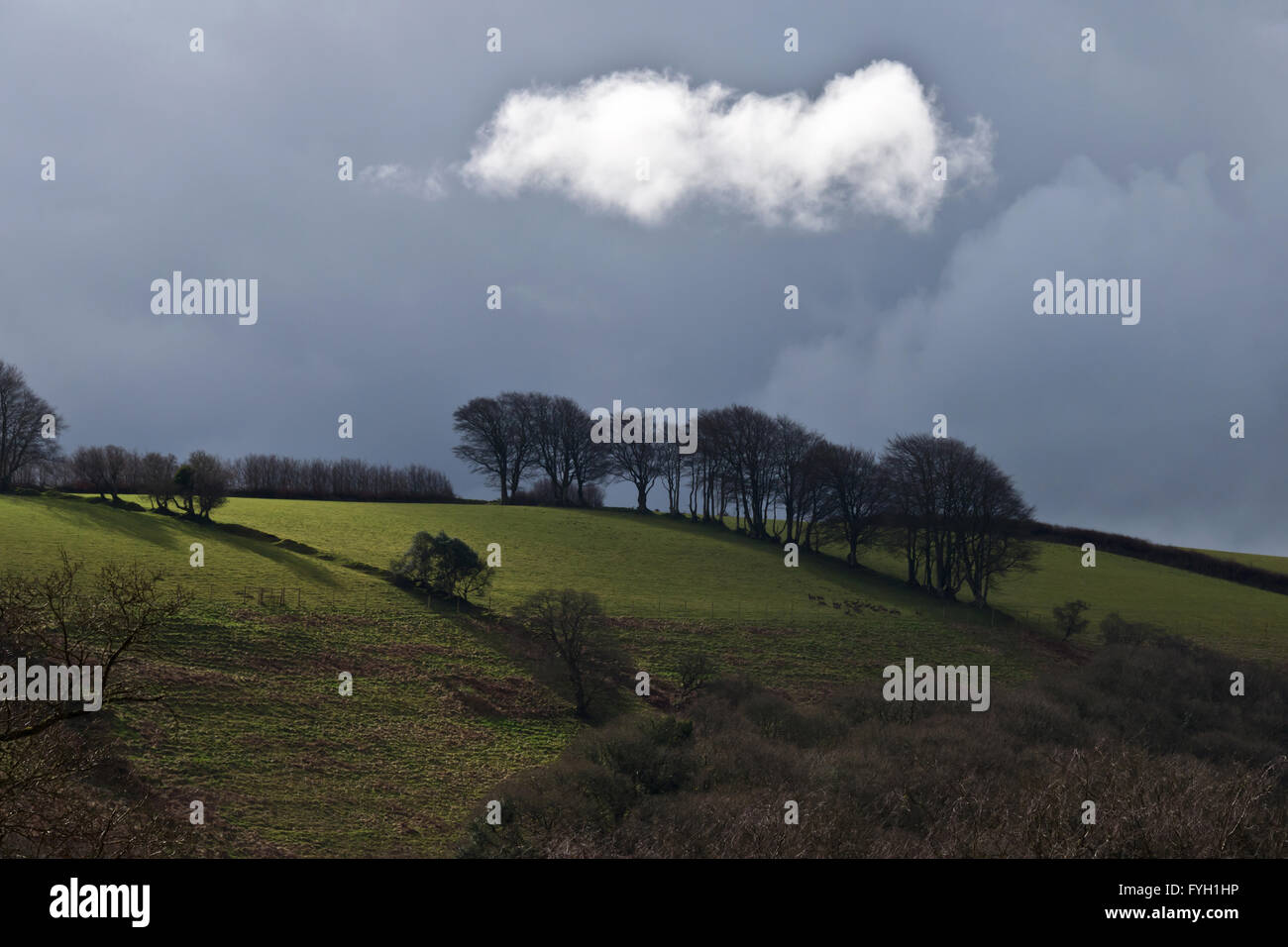 Dark brooding landscape field hi-res stock photography and images - Alamy