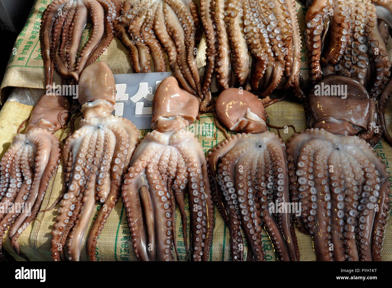 South Korea, Busan, fish market Stock Photo - Alamy