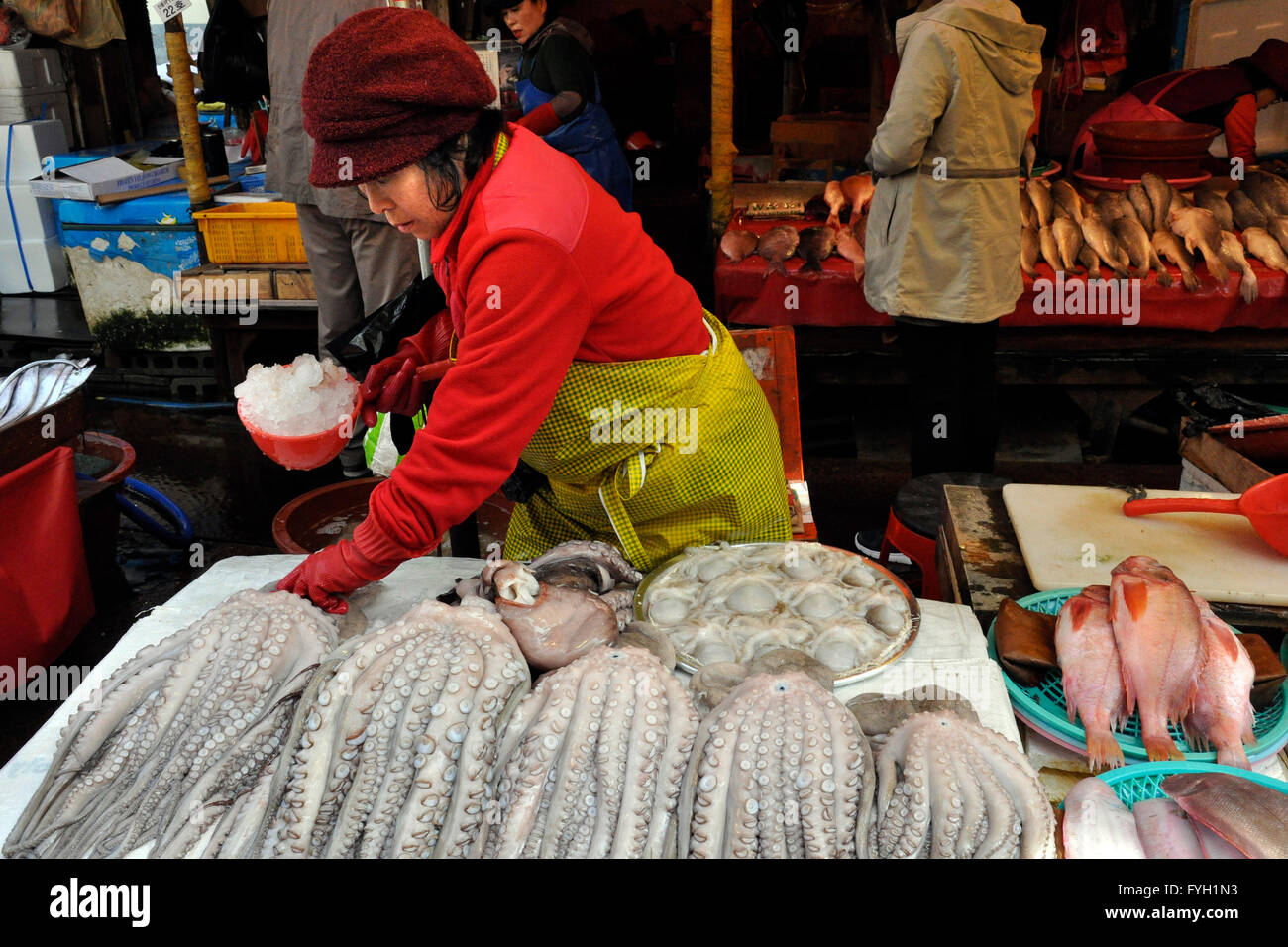 South Korea, Busan, fish market Stock Photo - Alamy