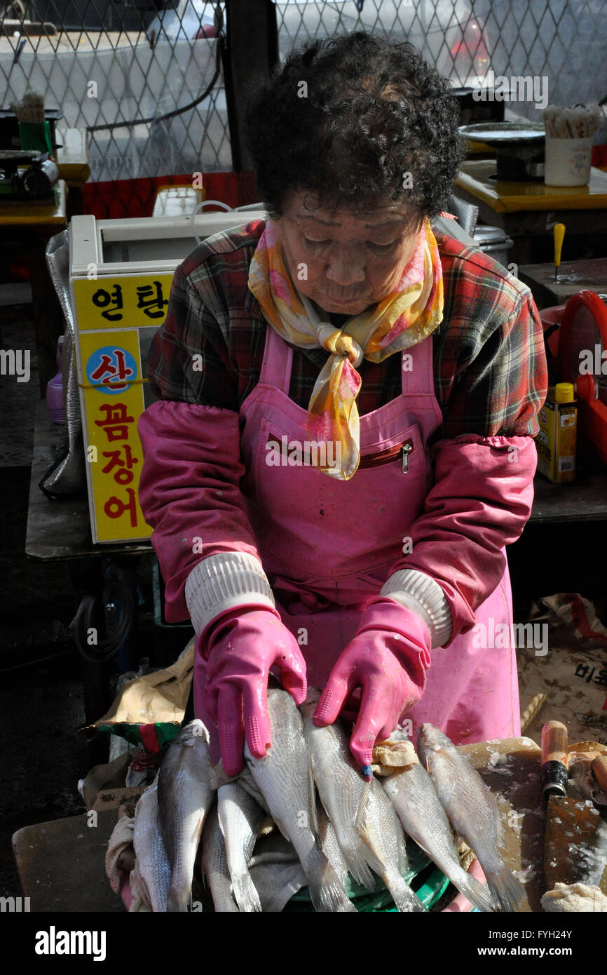 South Korea, Busan, fish market Stock Photo - Alamy