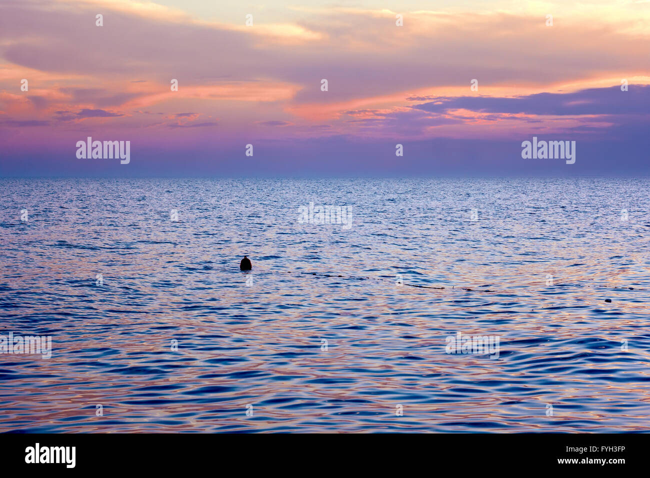 Violet blue sea hi-res stock photography and images - Alamy