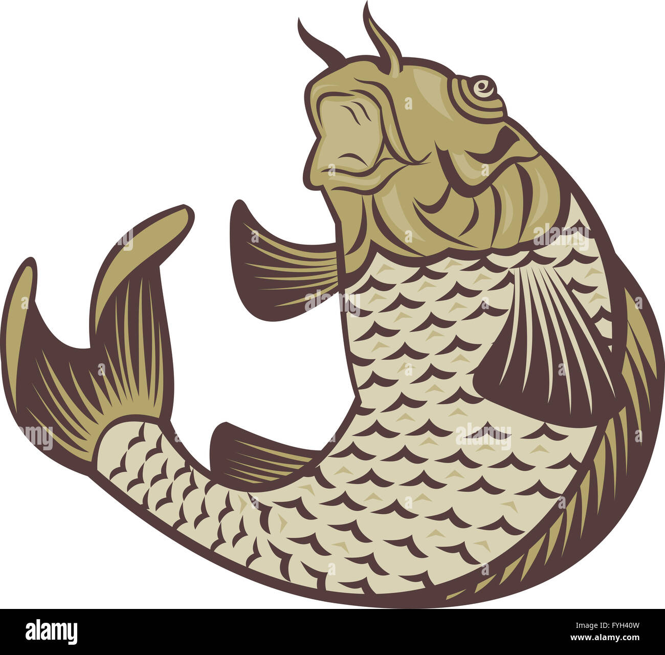 Koi carp fish jumping hi-res stock photography and images - Alamy