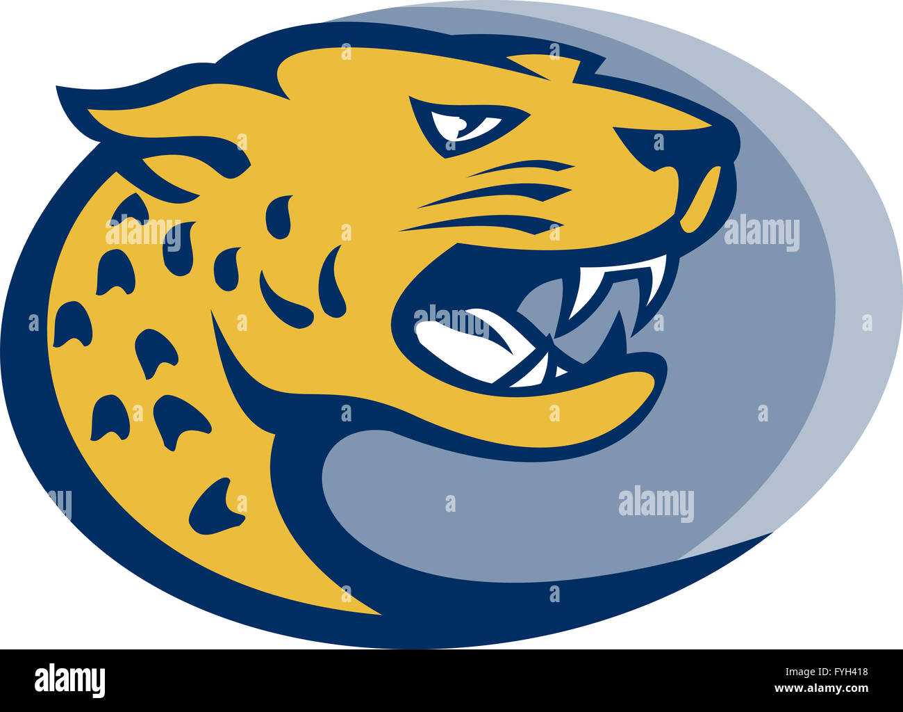 jaguar head facing side Stock Photo - Alamy