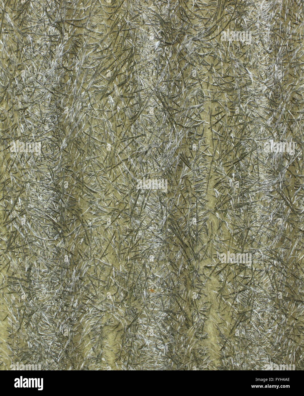 Background of a compressed panel with fibers Stock Photo - Alamy