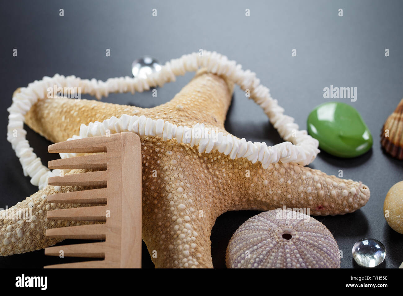 Background with different shells and sea five-pointed stars Stock Photo ...