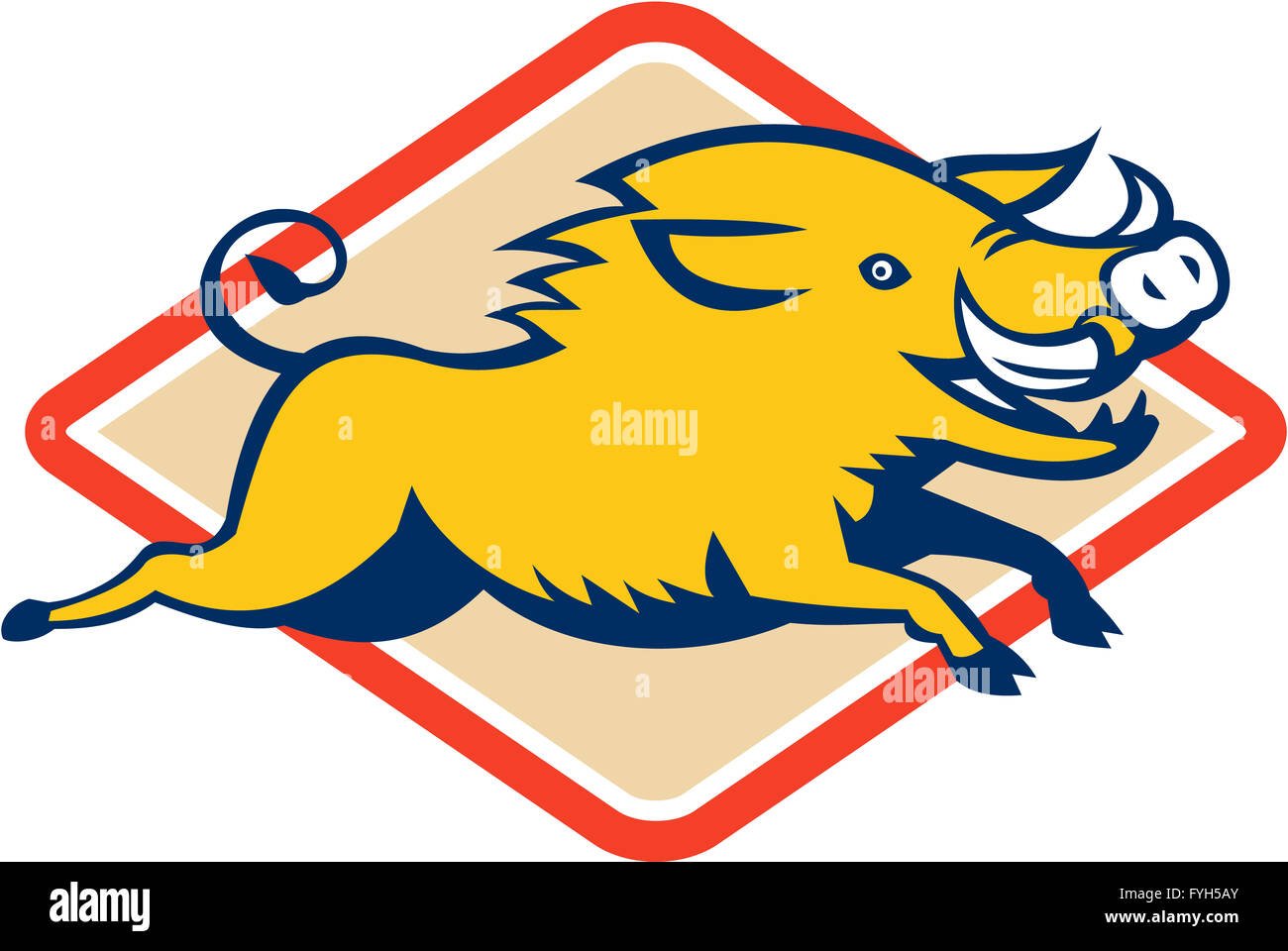 Razorback Wild Pig Jumping Stock Photo - Alamy