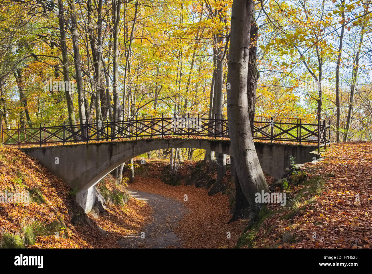 Bridge in Bergpark, Badepark, Bad Muskau, Germany Stock Photo - Alamy