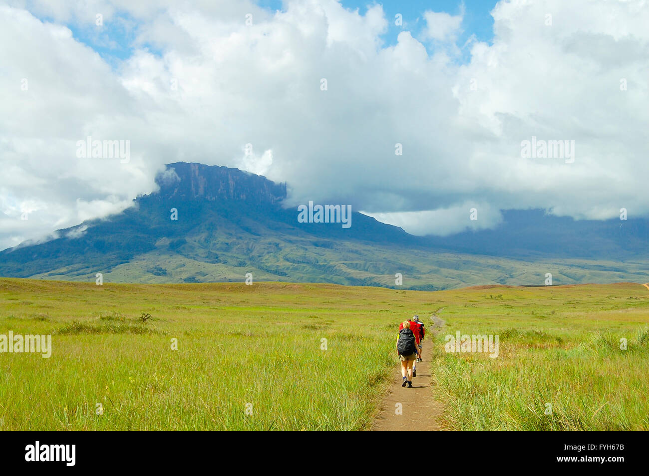 Mount Roraima - Venezuela Stock Photo - Alamy