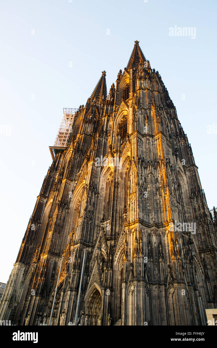 Cathedral of Cologne Stock Photo - Alamy