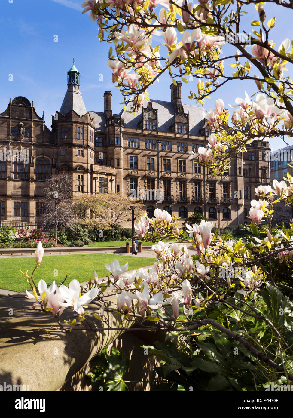 Sheffield in bloom hi-res stock photography and images - Alamy