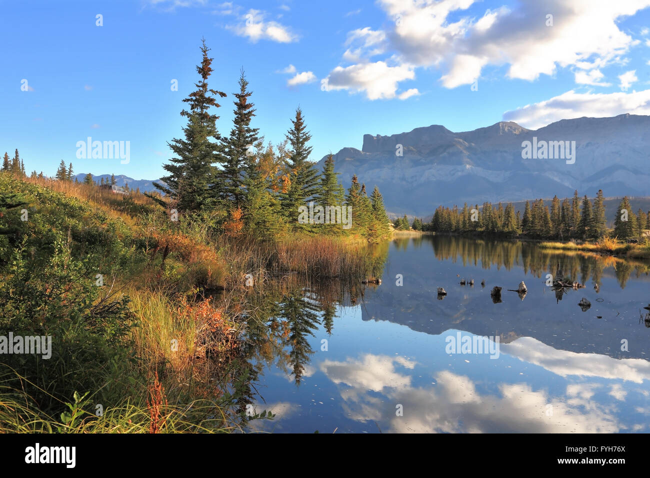 Sunny morning in Jasper National Park, Canada Stock Photo - Alamy