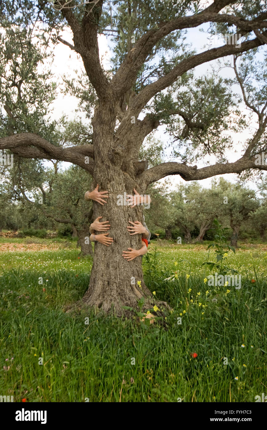 Embrace Nature - tree hugging green ecological concept Stock Photo - Alamy