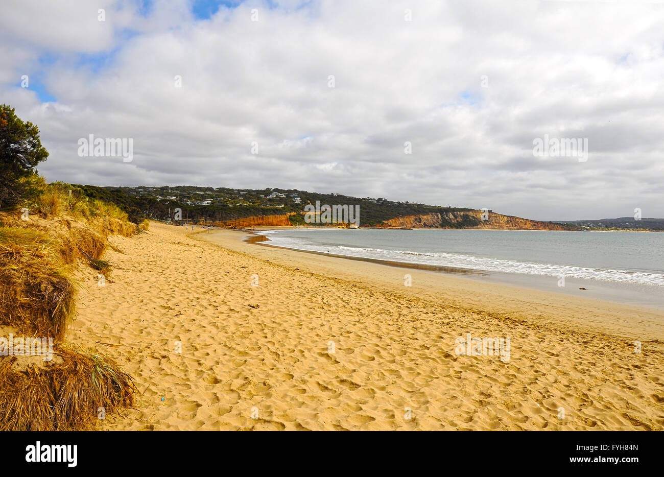 Ocean coast of Australia. The beach in Apollo Bay Stock Photo - Alamy