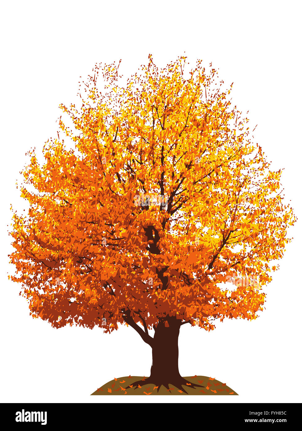 Tall tree cherry hi-res stock photography and images - Alamy