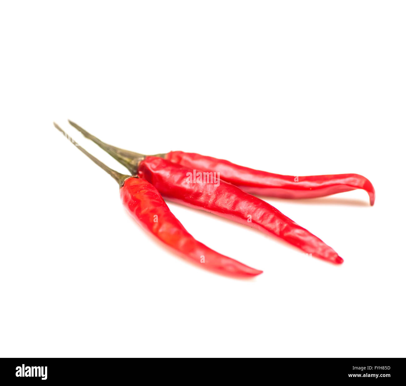 tree red chilli pepper isolated on the light gray Stock Photo - Alamy