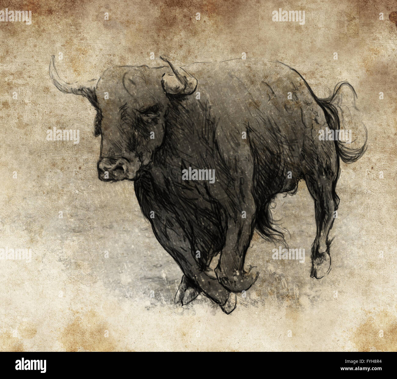 Bull sketch hi-res stock photography and images - Alamy