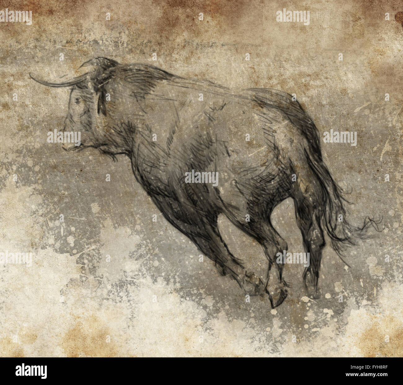 Bull sketch running hi-res stock photography and images - Alamy