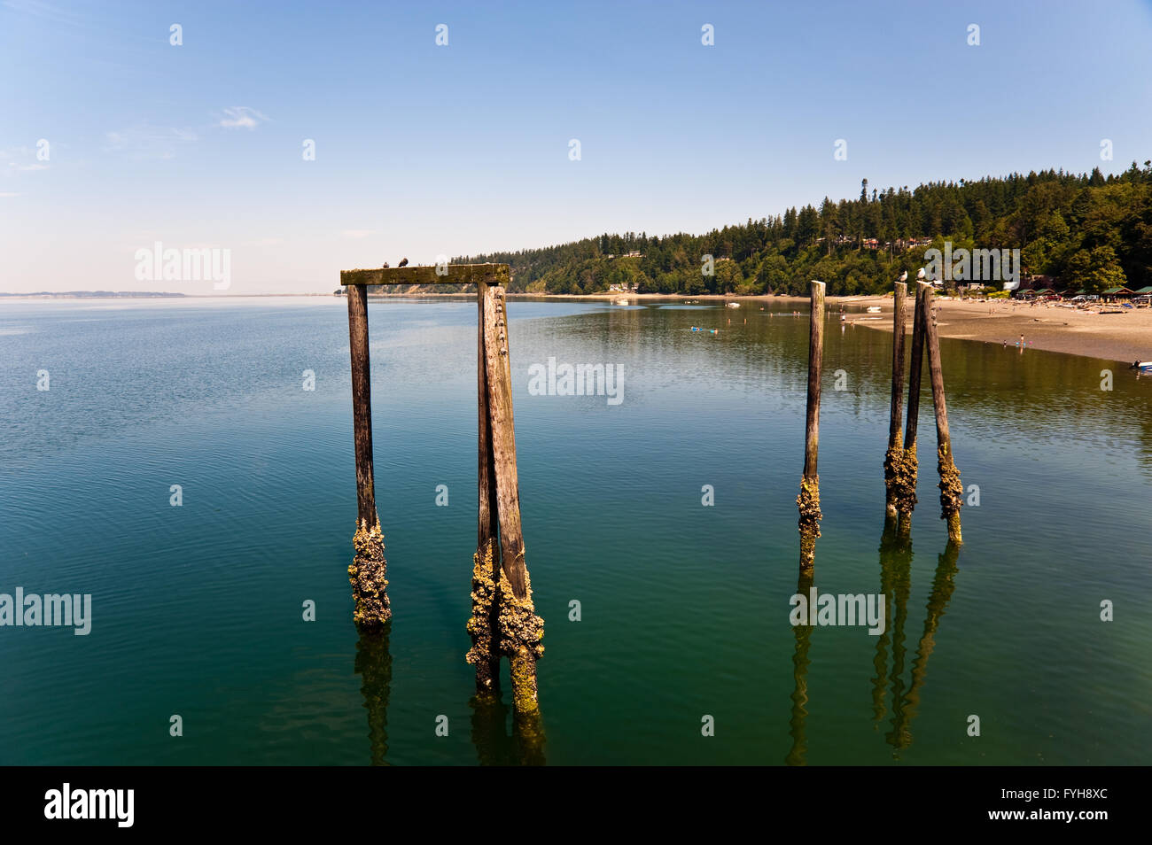 Kayak Point, WA Stock Photo - Alamy