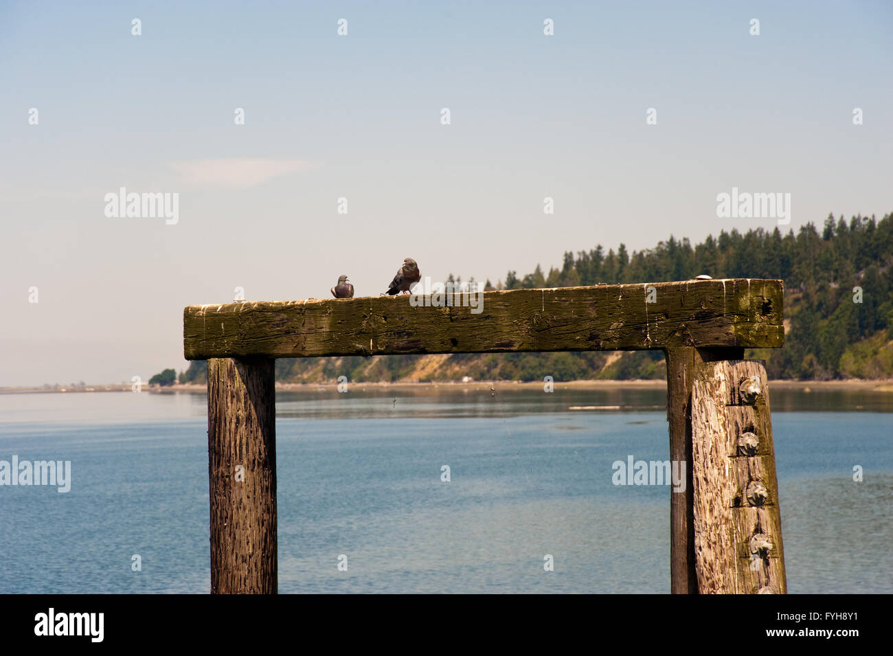 Kayak Point, WA Stock Photo - Alamy