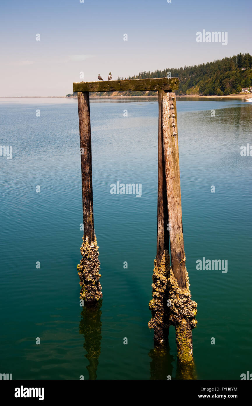 Kayak Point, WA Stock Photo - Alamy
