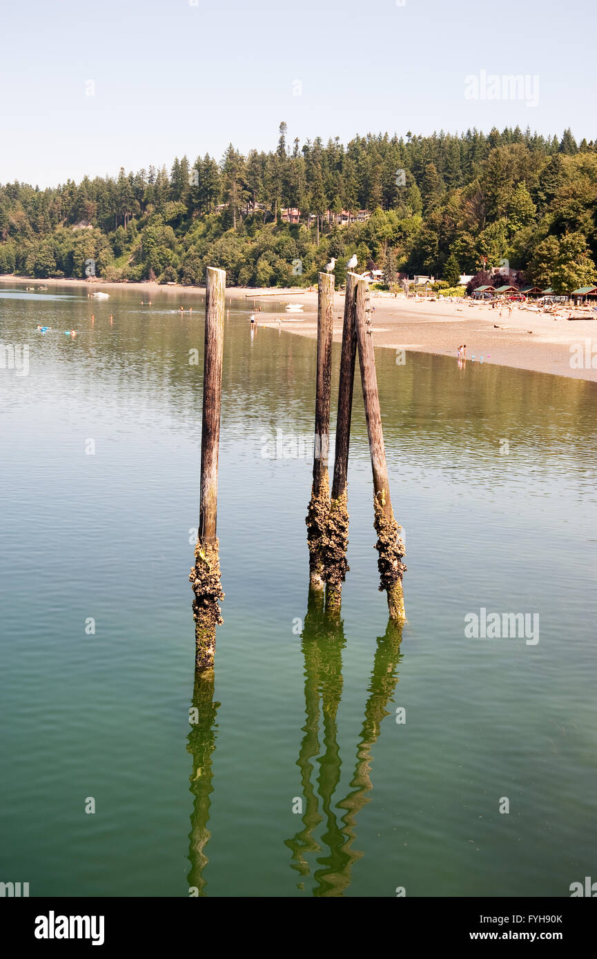 Kayak Point, WA Stock Photo - Alamy