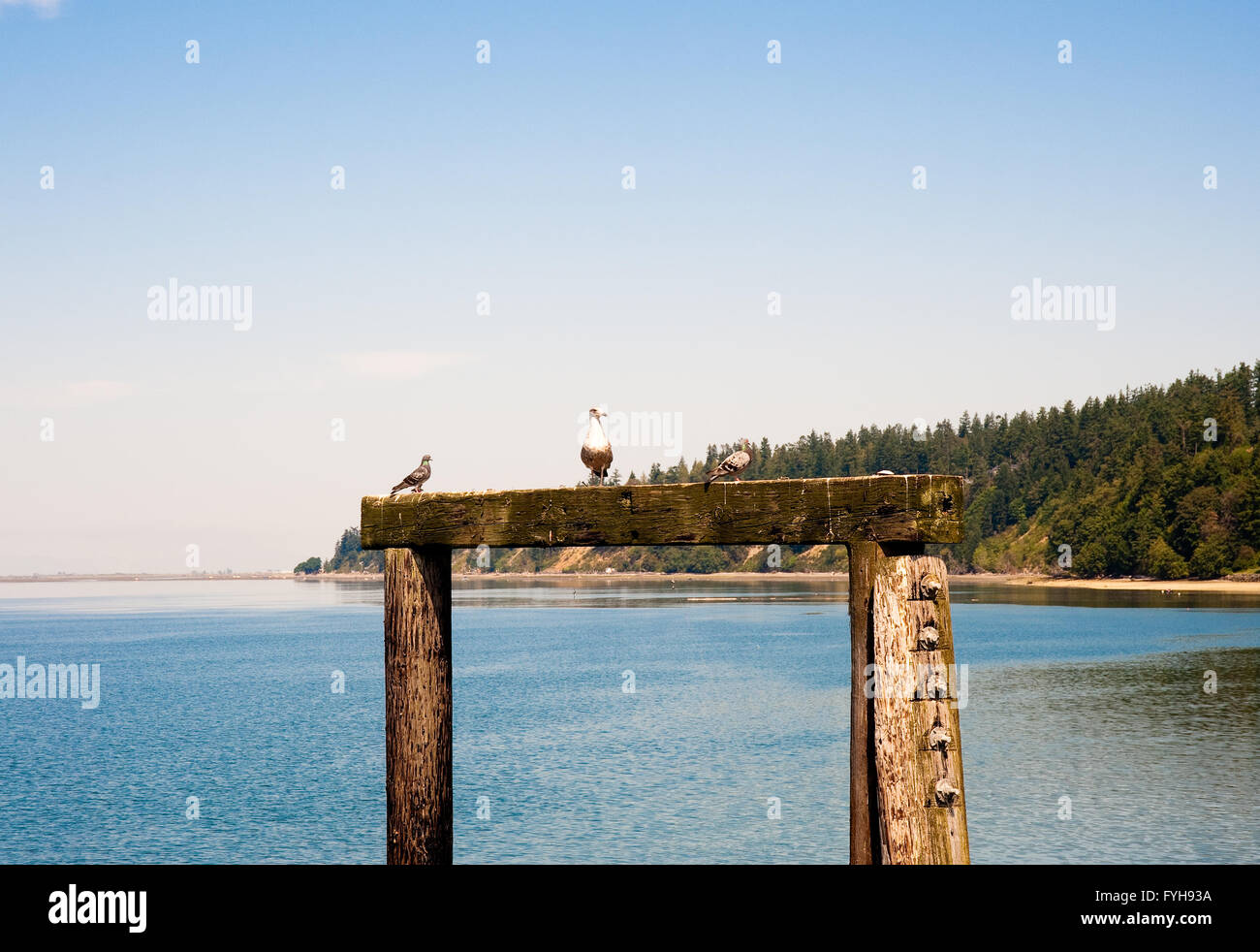 Kayak Point, WA Stock Photo - Alamy