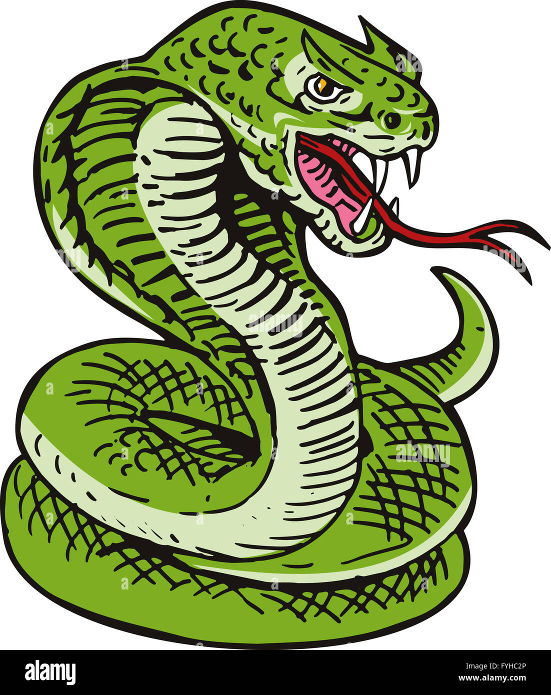 Cobra Viper Snake Stock Photo - Alamy