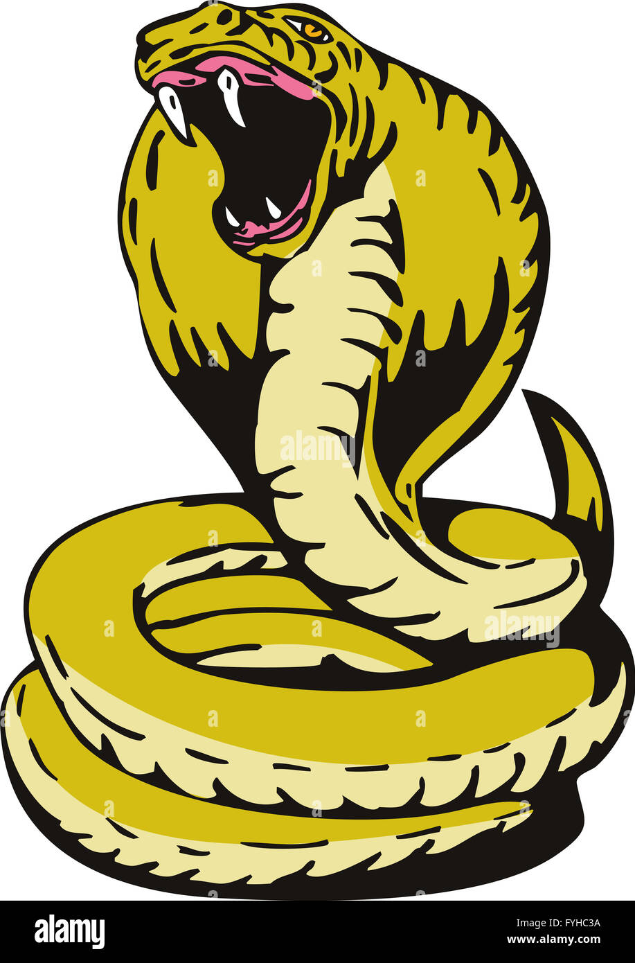 Cobra Viper Snake Stock Photo - Alamy