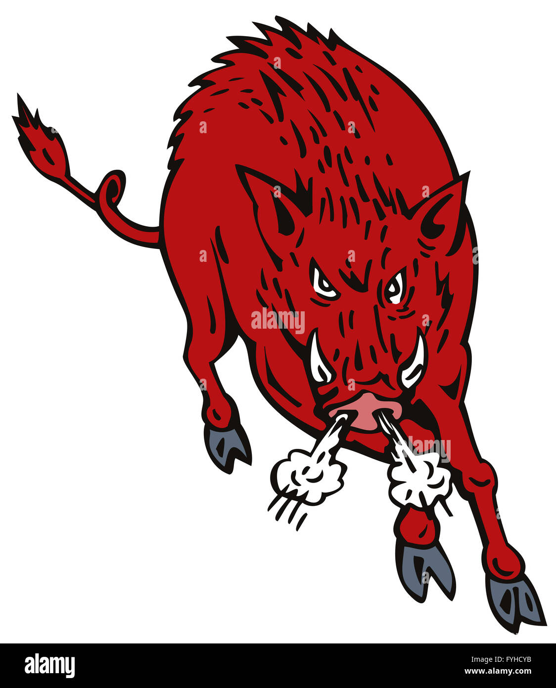 Wild Pig Boar Jumping Stock Photo - Alamy