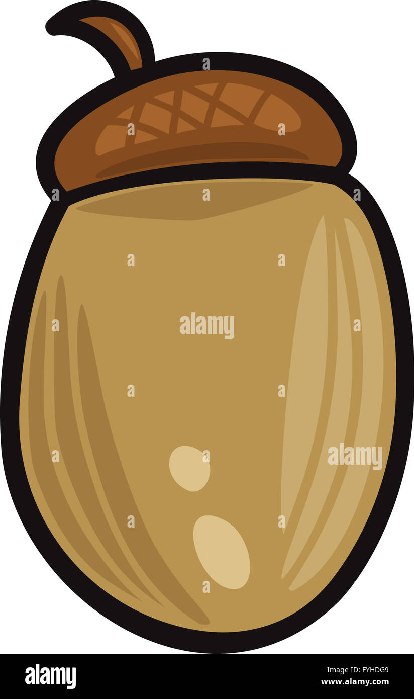 acorn clip art cartoon illustration Stock Photo - Alamy