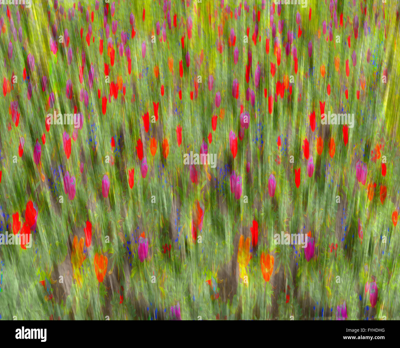 Digital flowers hi-res stock photography and images - Alamy