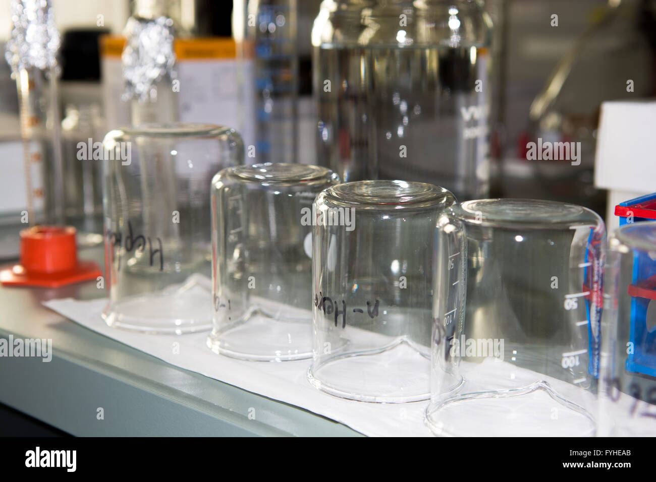 Test Tubes in Chemical Laboratory Stock Photo - Alamy