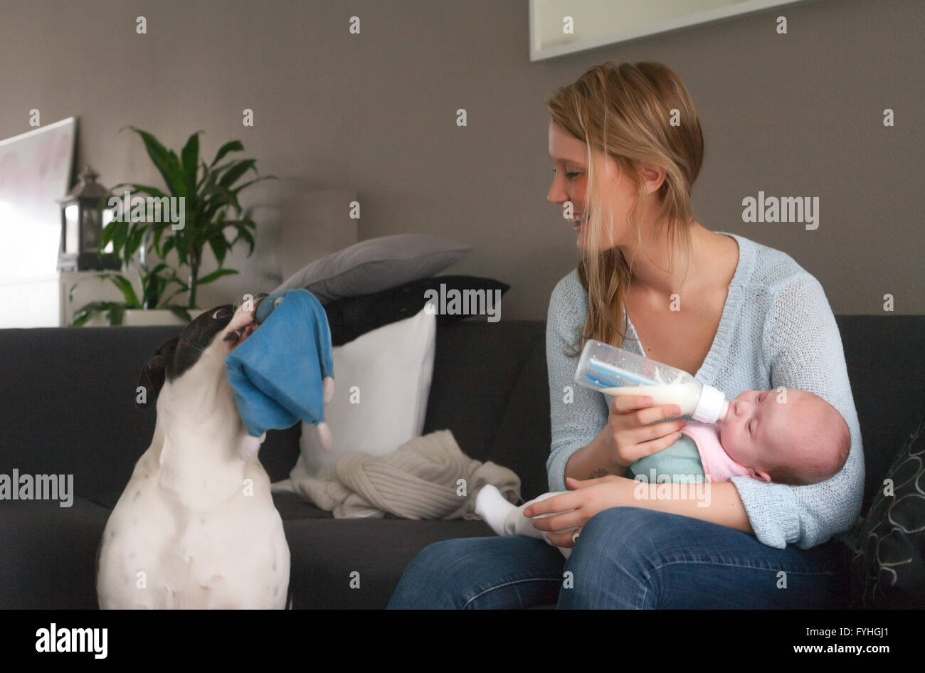 Girl feeding dog hi-res stock photography and images - Alamy