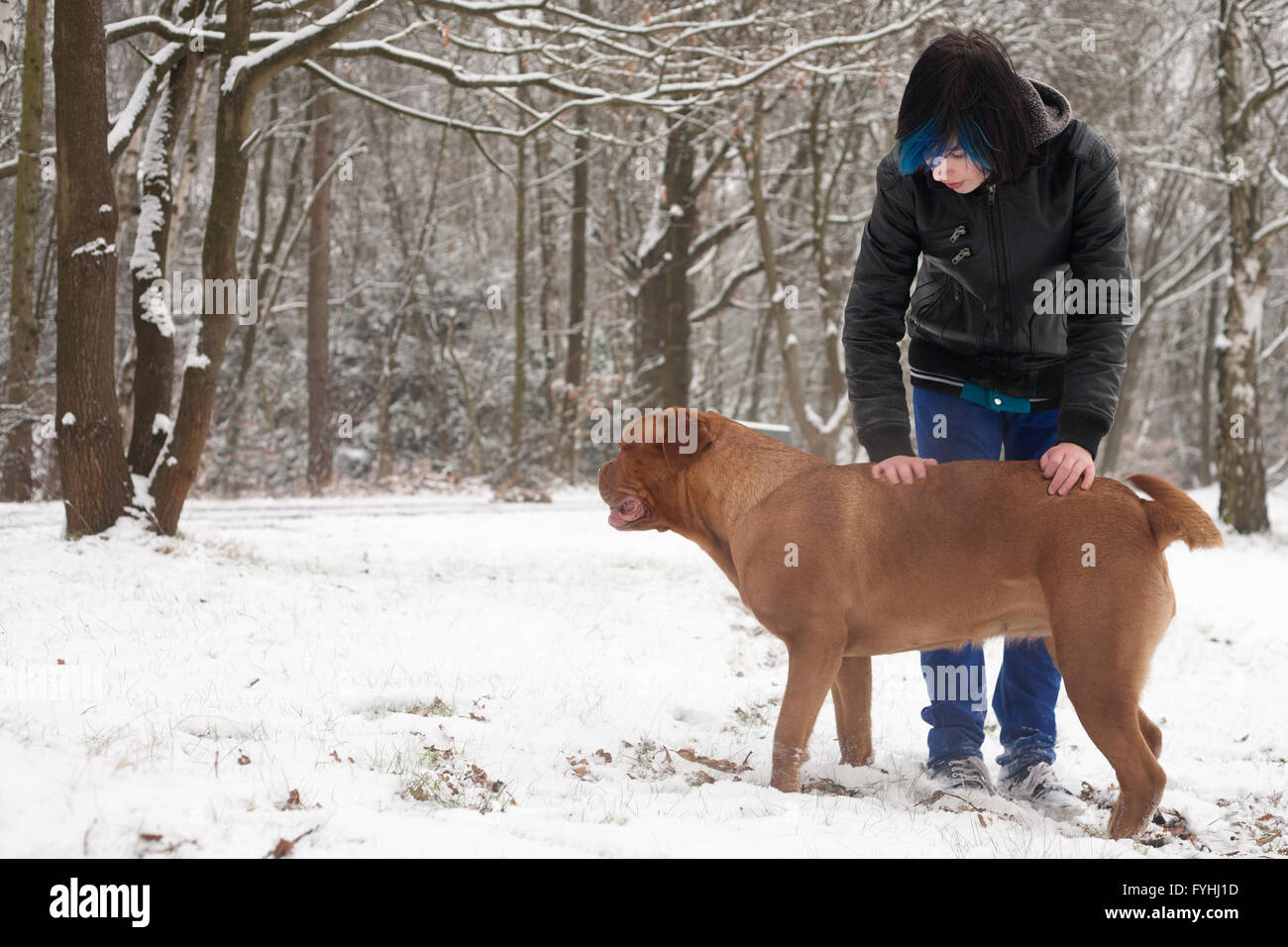 Funky dog hi-res stock photography and images - Alamy